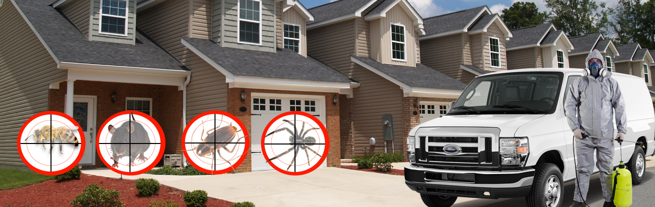 Pest & Rodent Control Services In Ontario By Pestex